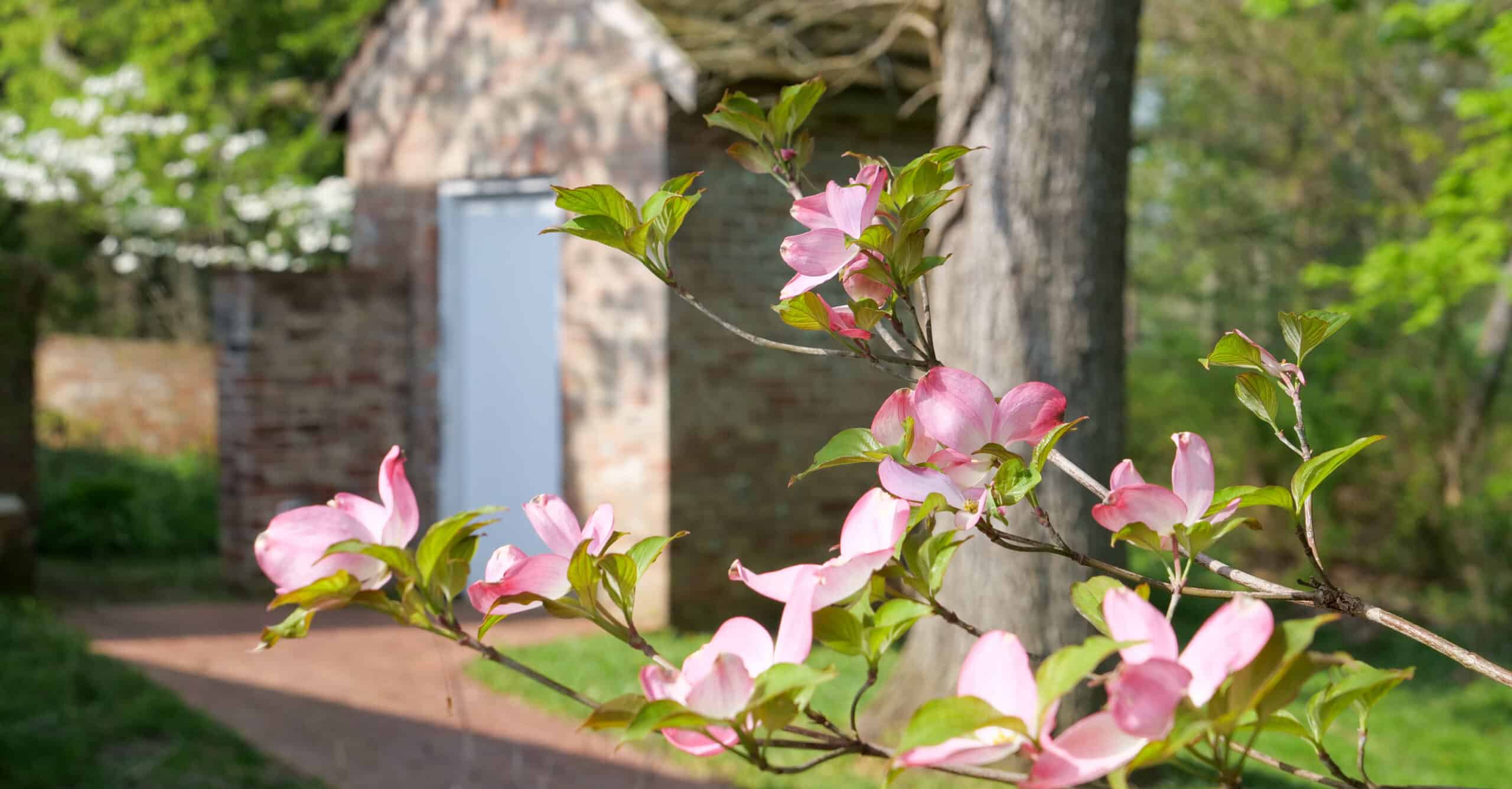 Engaging and Empowering Staff - Greenacres Foundation