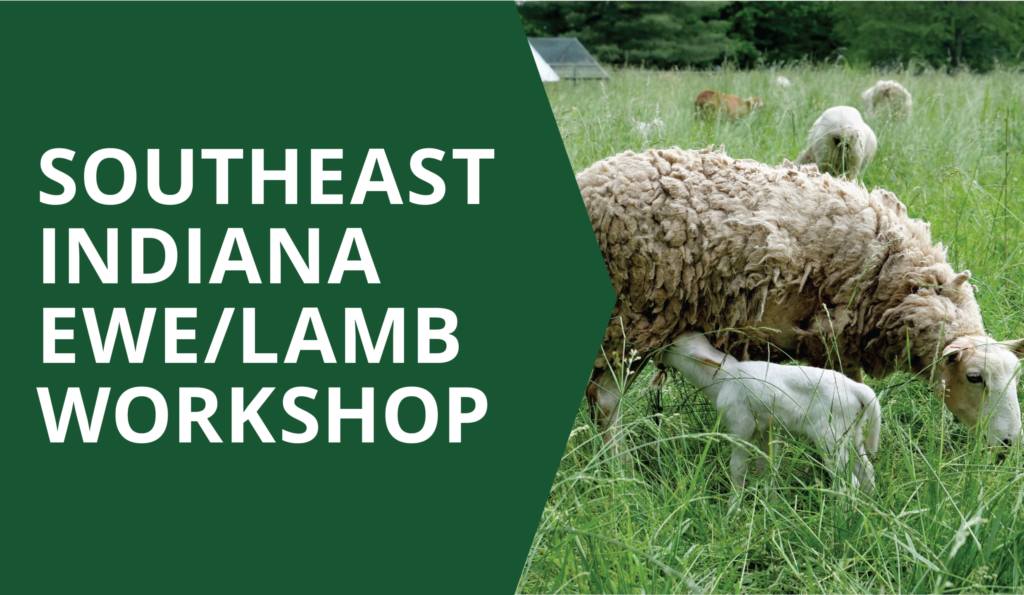 Southeast Indiana Ewe/Lamb Workshop - Greenacres Foundation