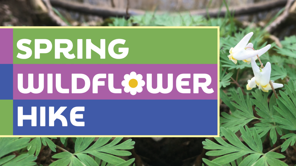 Spring Wild Flower Hike: Lewis Township - Greenacres Foundation